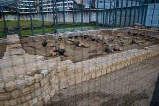 römisches Gräberfeld Via Sepulcra in Mainz